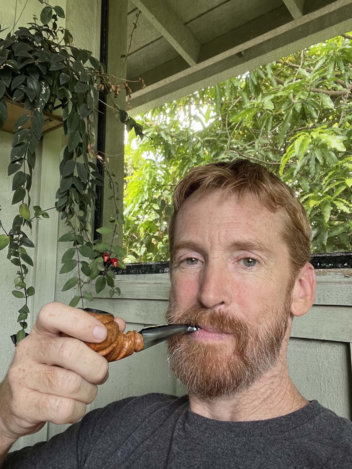 US431A Steve Strawser | Pipe Club of London